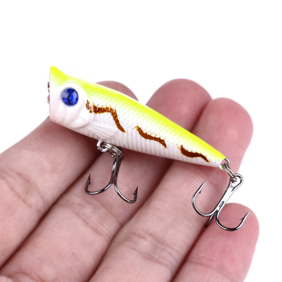 Popper Fishing Lure Pencil lures For Bass – Hengjia fishing gear